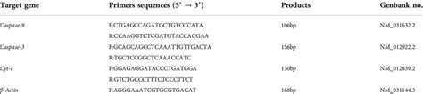 Primer Sequences Of Real Time Pcr Target Genes Download Scientific Diagram
