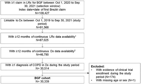 Flow Chart Of Patient Selection Bgf Download Scientific Diagram