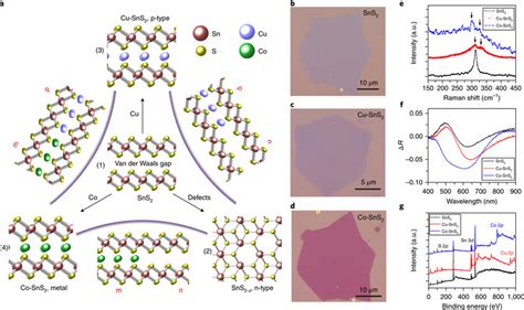 Realization Of A P Type Semiconductor N Type Semiconductor And Highly Download Scientific