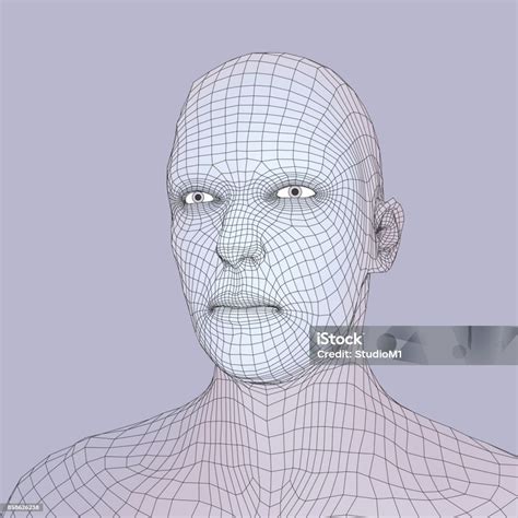 3 차원 격자에서 사람의 머리입니다 인간의 머리 모델을 연결합니다 인간의 다각형 머리입니다 얼굴 검색입니다 인간의 머리의 보기입니다 3d 형상 얼굴 디자인입니다 3d 다각형