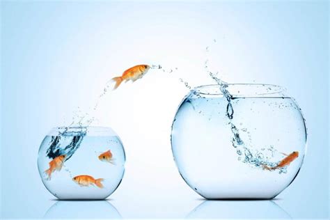 A Comprehensive Guide To Application Migration Intellectsoft