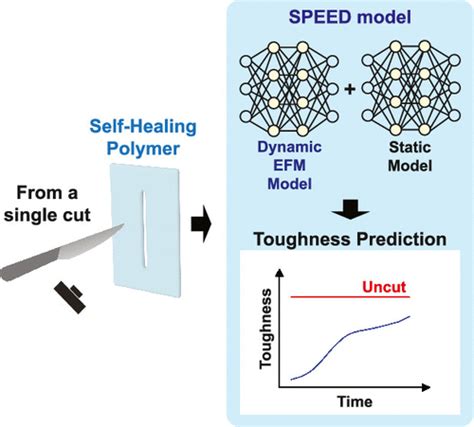 Dynamic Modeling Of Intrinsic Self Healing Polymers Using Deep Learning Acs Applied Materials