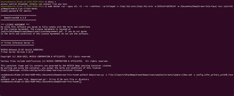 Segmentation Fault Error Deepstream Sdk Nvidia Developer Forums