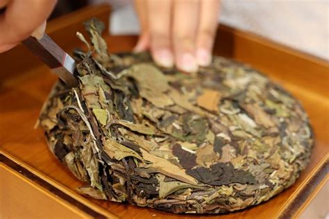這樣做簡單輕鬆撬白茶茶餅 每日頭條