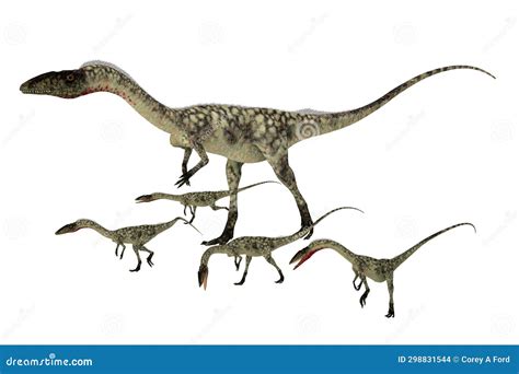 Triassic Period Carnivorous Shonisaurus Ichthyosaur Royalty Free Stock