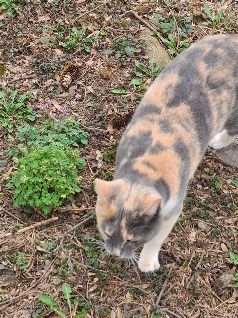 Relatively New Girl Next Door R Notmycat