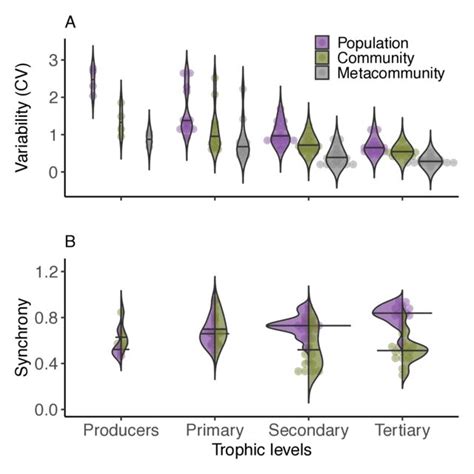 spatial and trophic scaling of temporal variability a and synchrony