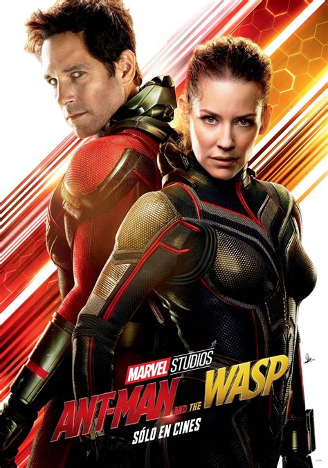 Ant Man And The Wasp Dvd Release Date Redbox Netflix Itunes Amazon