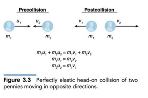 Biomechanics Exam Ch Linear Kinetics Flashcards Quizlet