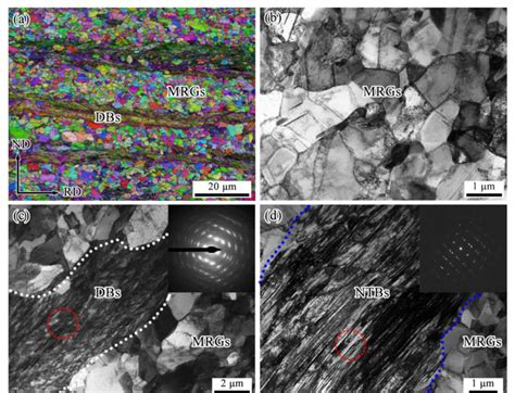 Microstructure Of Fe 30mn 0 11c Steel After Cold Rolling And Annealing