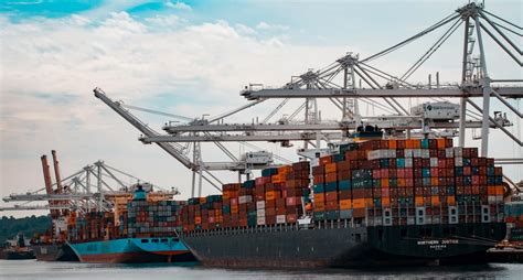 How To Import And Export A Database With Ddev