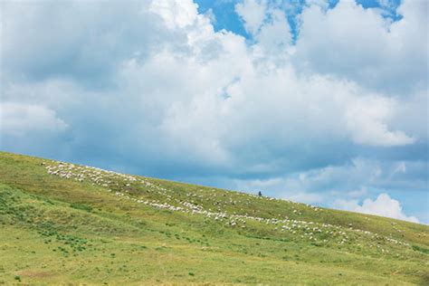 牧民骑摩托图片素材 牧民骑摩托设计素材 牧民骑摩托摄影作品 牧民骑摩托源文件下载 牧民骑摩托图片素材下载 牧民骑摩托背景素材 牧民骑摩托模板下载 搜索中心