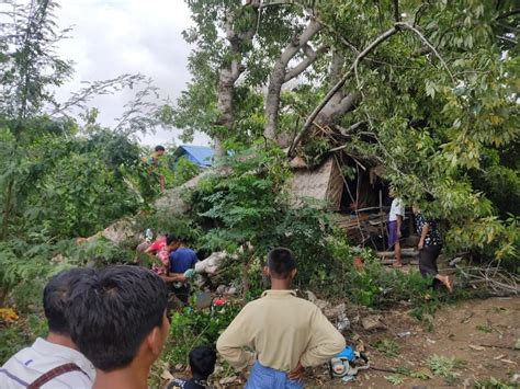 ဆင်ပေါင်ဝဲမြို့နယ်တွင် မြစ်ရေတိုက်စား၍ သစ်ပင်လဲကျမှုကြောင့် ပျက်စီးသ