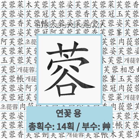 국어사전에서 🌏한자 蓉 연꽃 용 단어이고 식물 관련 단어는 5개