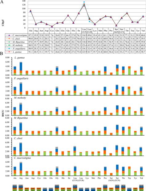 Codon Distribution A And Relative Synonymous Codon Usage B Of PCGs Download Scientific