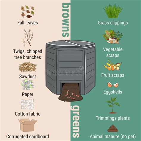 Infographic Of Garden Composting Bin With Scraps What To Compost