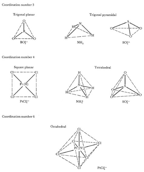 Coordination Number Ligands And Geometries Introduction To