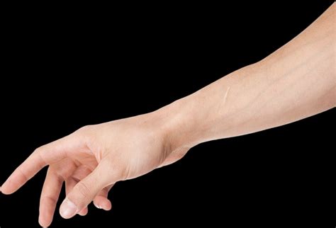 The Meaning And Symbolism Of The Word Arm