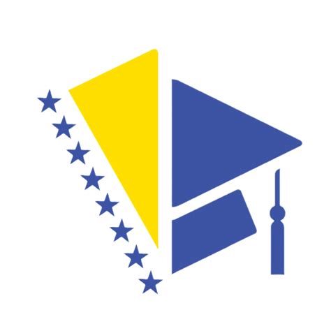 Dario Babović The Name Behind The New Bh Futures Foundation Logo