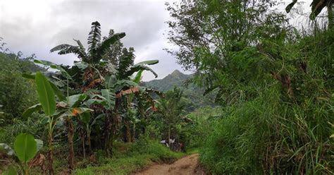 A Quiet Pace Mt Susong Dalaga Rodriguez Rizal