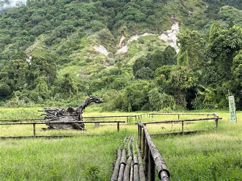 Experience Forest Bathing In Burauen Leyte Out Of Town Blog