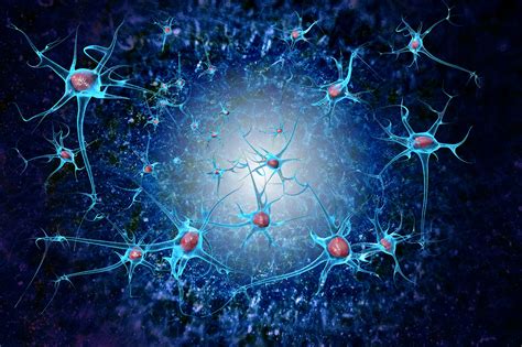 Stem Cells Cure Diabetes Cells4life