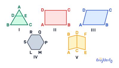 Line Segment Definition Formula Examples