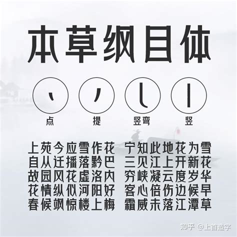 SOUNSO原创字体欣赏 上首本草纲目体 知乎