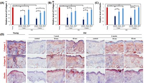 Expression Of Collagen Fibers And Elastin After Treatment With The Download Scientific Diagram