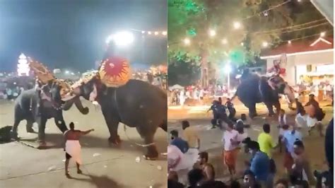 Elephant Attack In Kerala Viral Video Shows Moment A Celebration Went Wrong Times Now