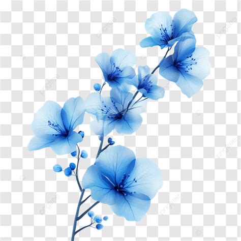 꽃의 자연과 식물을 주제로 한 디자인을 위한 현실적인 꽃잎을 가진 아름다운 푸른 꽃 가지 푸른 꽃 가지 현실적인 자연 그림 자연 Png 일러스트 및 이미지 에 대한