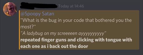 Job Interview R Programmerhumor