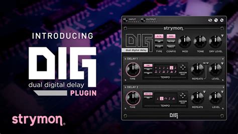 DIG Digital Delay Plugin Strymon