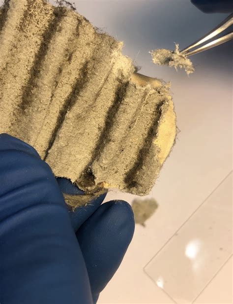Asbestos Testing