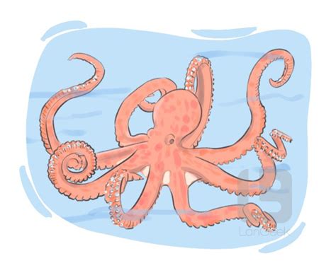 La Traduzione Della Parola Octopus Langeek