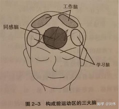 你压力了吗 知乎