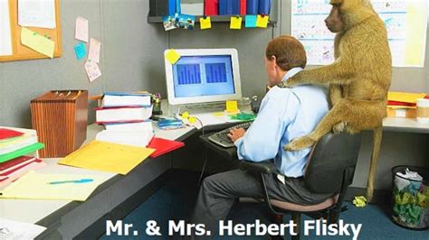 Man Says His Monkey Is Not Only Smart But She S Sexy As Well The Spoof