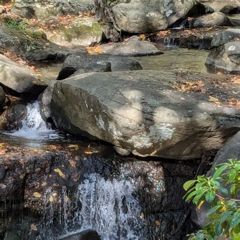 Janis Devito Janisdevito • Instagram Photos And Videos