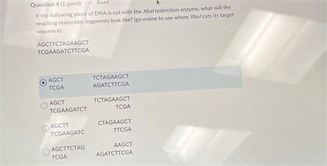 Solved If The Following Piece Of Dna Is Cut With The Xbal