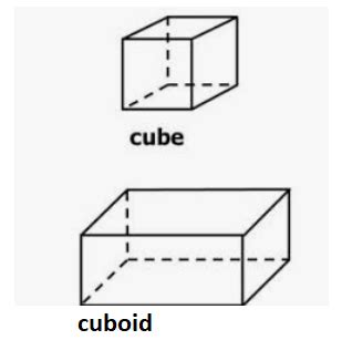 We Know Every Cube Is A Cuboid Is Every Cuboid A Cube