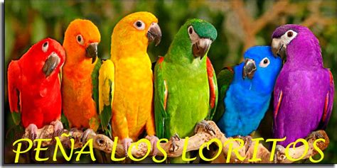 PeÑa Los Loritos
