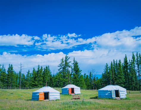 자유 게시판 하이몽골리아