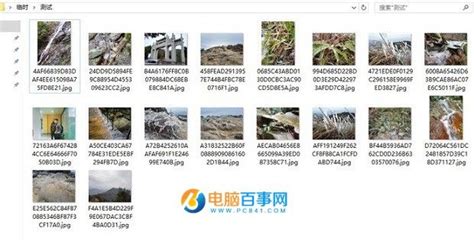 计算机怎么快速改图片名称 如何批量修改文件名？批量修改照片文件名和添加前缀方法 csdn博客