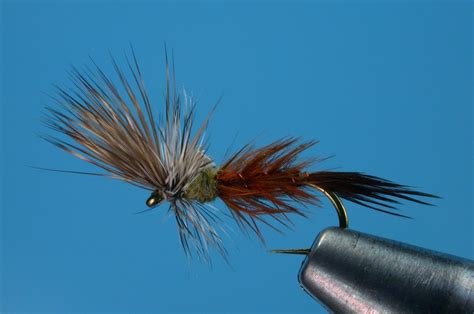 Quigley Cripple Fly Pattern Pattern Matching Algorithms