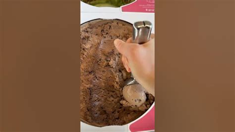 배라 쇠똥구리 6 초콜릿 무스 배라배라알바쇠똥구리 Youtube