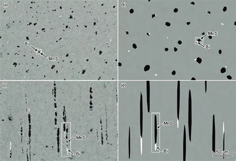Experimental A C And Simulated B D Microstructures In Transversal