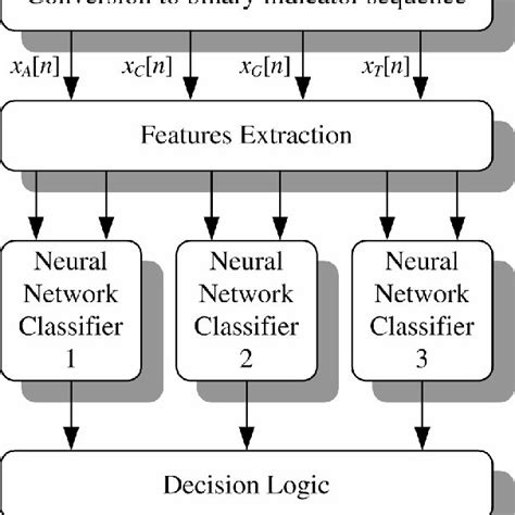 Neural Network Based Multi Classifier System For Gene Identification