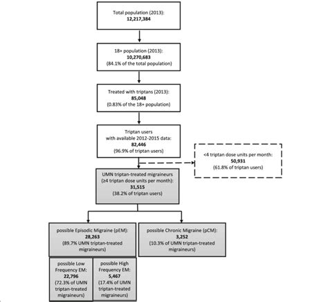 Selection Of Unmet Medical Needs Umn In Triptan Treated Migraineurs Download Scientific