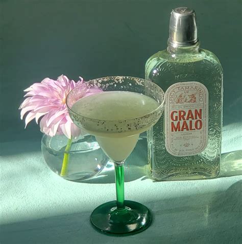 Spice Up Your Sip Creative Recipes With Gran Malo Spicy Tamarind
