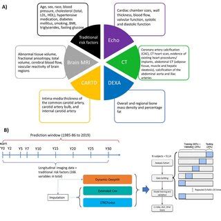 A Overview Of The Multimodal Data Used For Prediction B Methodology Download Scientific
